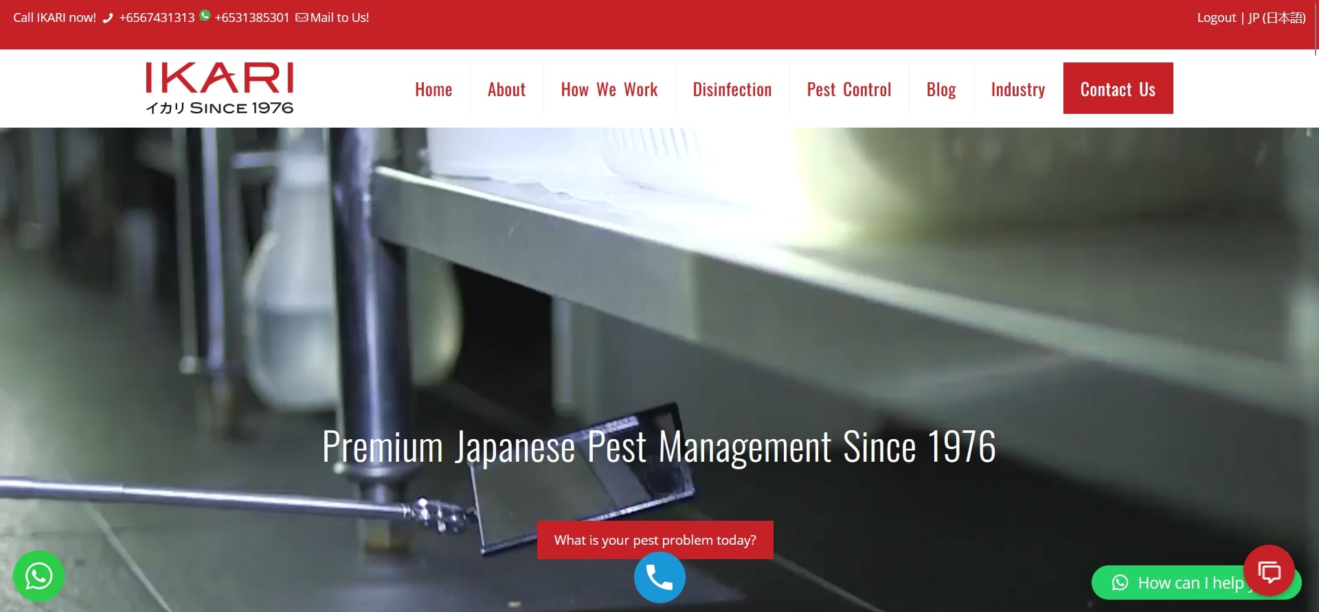 The Top 12 Termite Control Services in Singapore [2026 ]