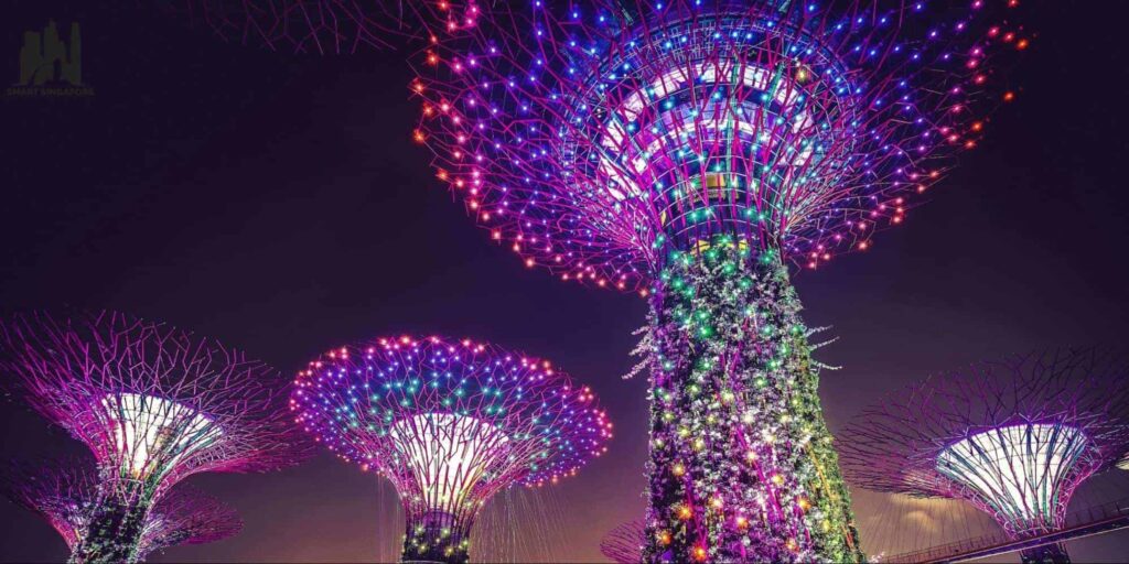Your One-Stop Guide to Supertree Grove at Gardens by the Bay [2025]