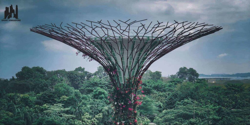 Your One-Stop Guide to Supertree Grove at Gardens by the Bay [2025]