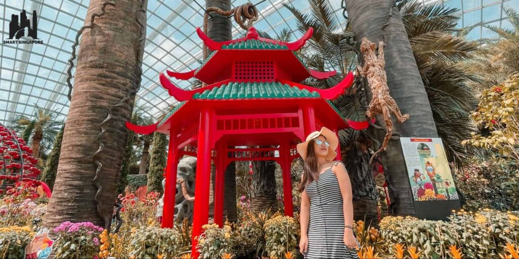 Your One-Stop Guide to Supertree Grove at Gardens by the Bay [2025]