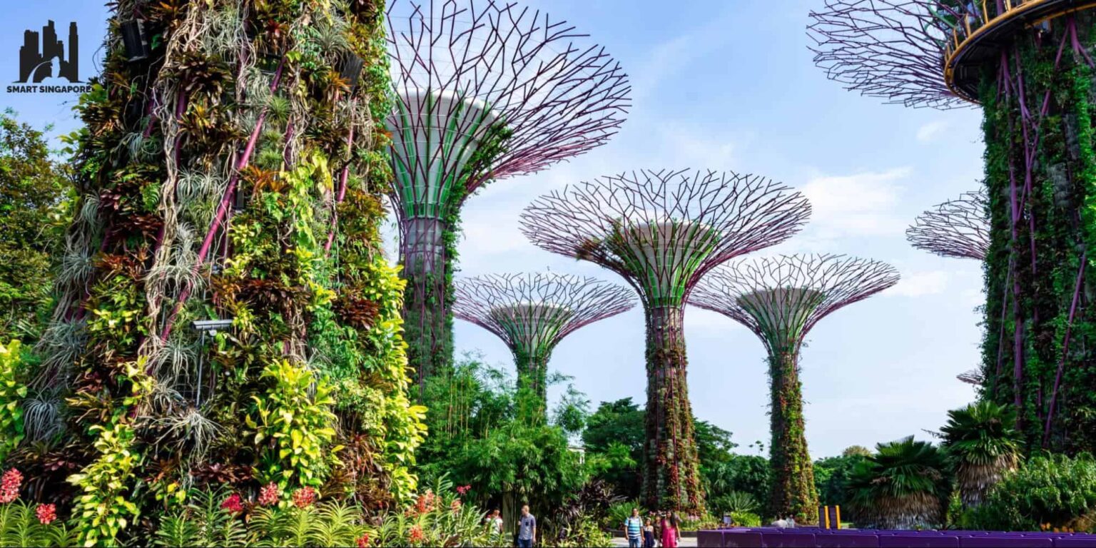 Your One-Stop Guide to Supertree Grove at Gardens by the Bay [2025]