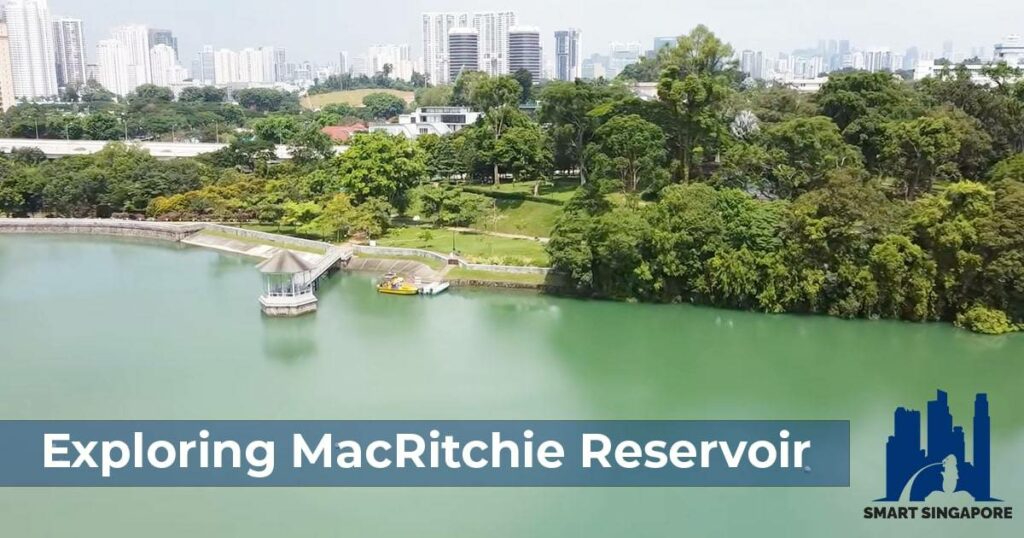Discover the Beauty of MacRitchie Reservoir in Singapore [2025]