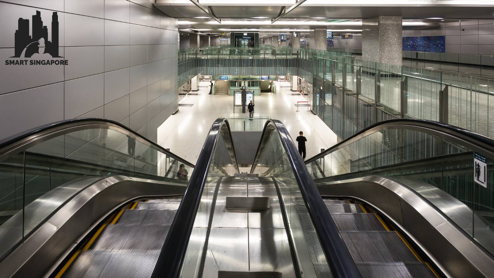 Bus-tling Around Singapore: A Public Transportation Guide [2025]