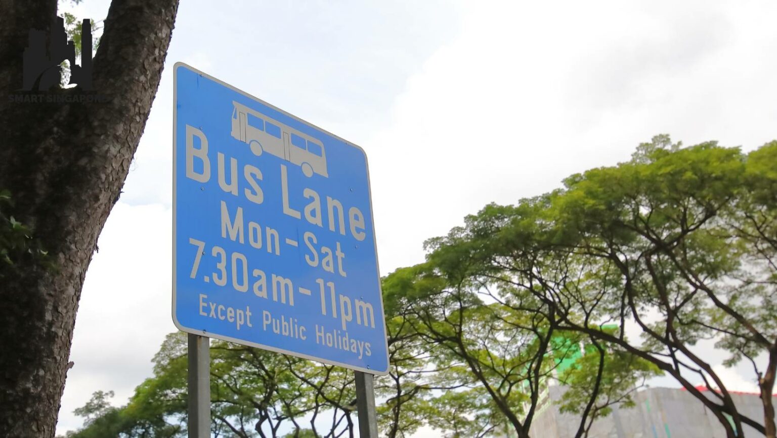 Bus-tling Around Singapore: A Public Transportation Guide [2026]
