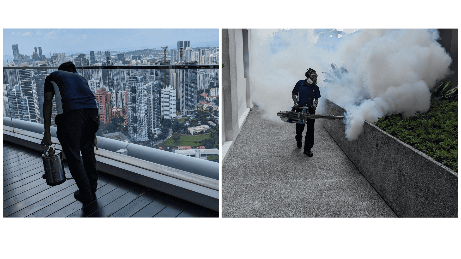 The 13 Best Pest Control Services in Singapore [2025 ]