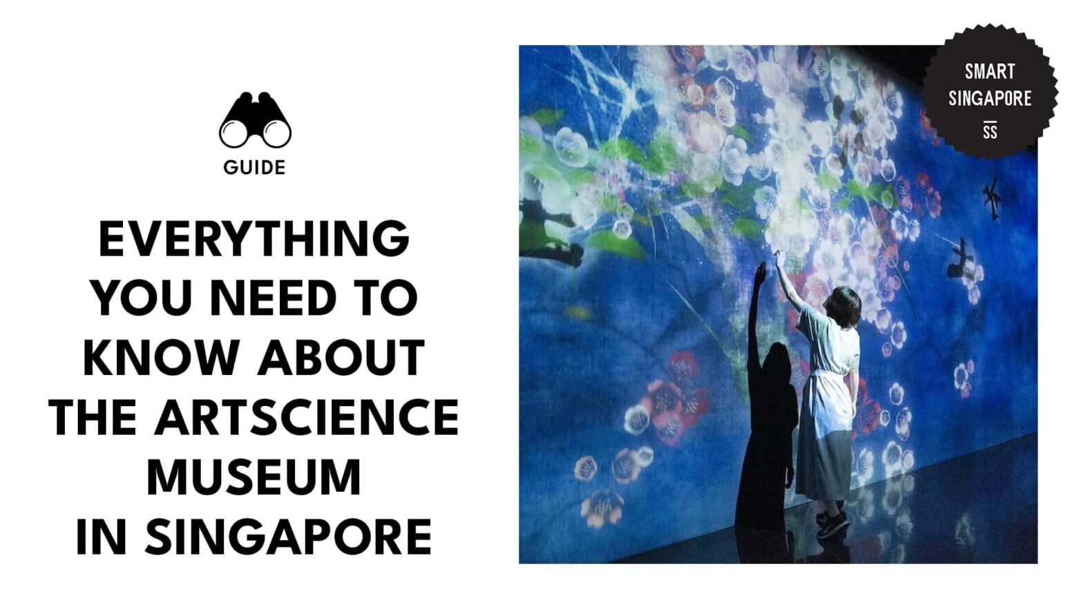 Every Activity You Can Do at the ArtScience Museum
