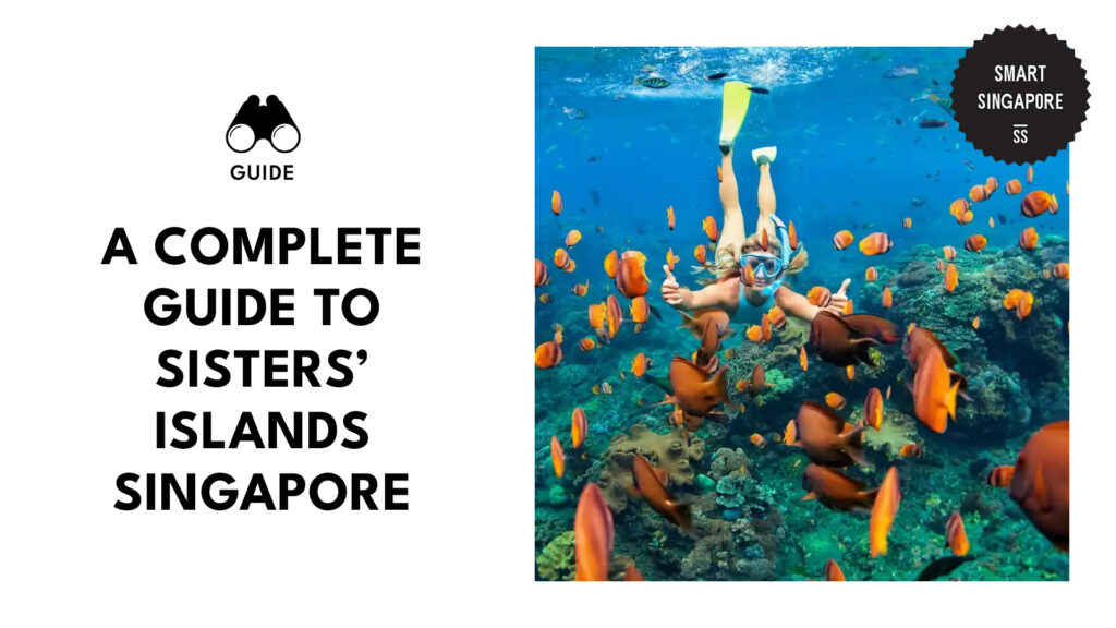Dive into marine paradise with this Sisters Island guide! [2026]