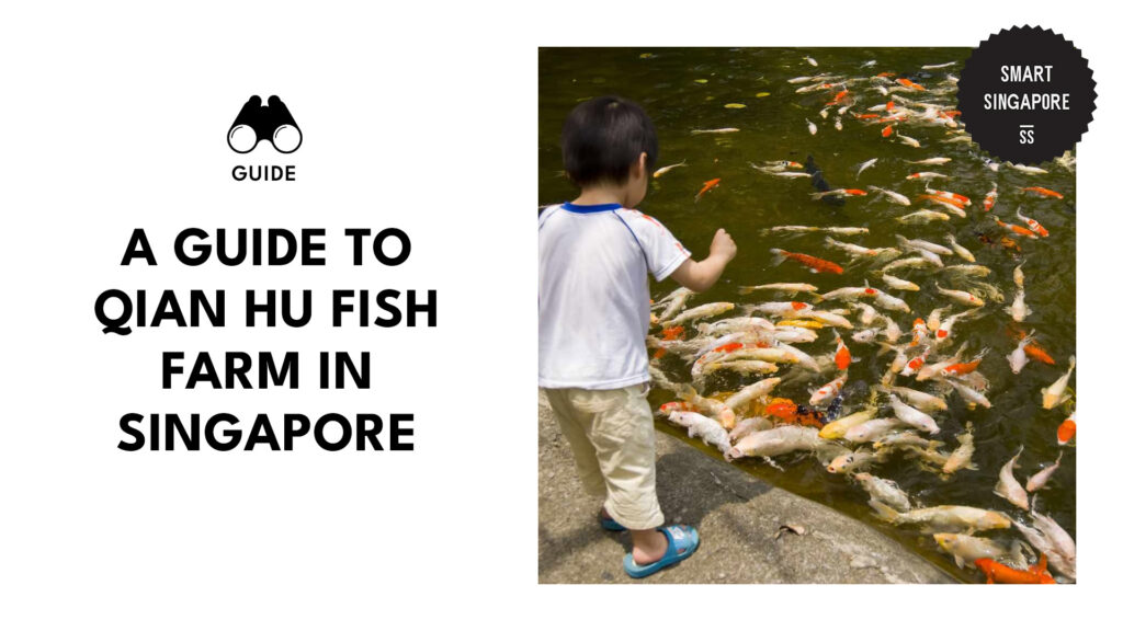 Fool-Proof Family Day-Out Guide to Qian Hu Fish Farm [2026]